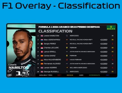 RaycerRay Simracing - Overlays - Classification.jpg